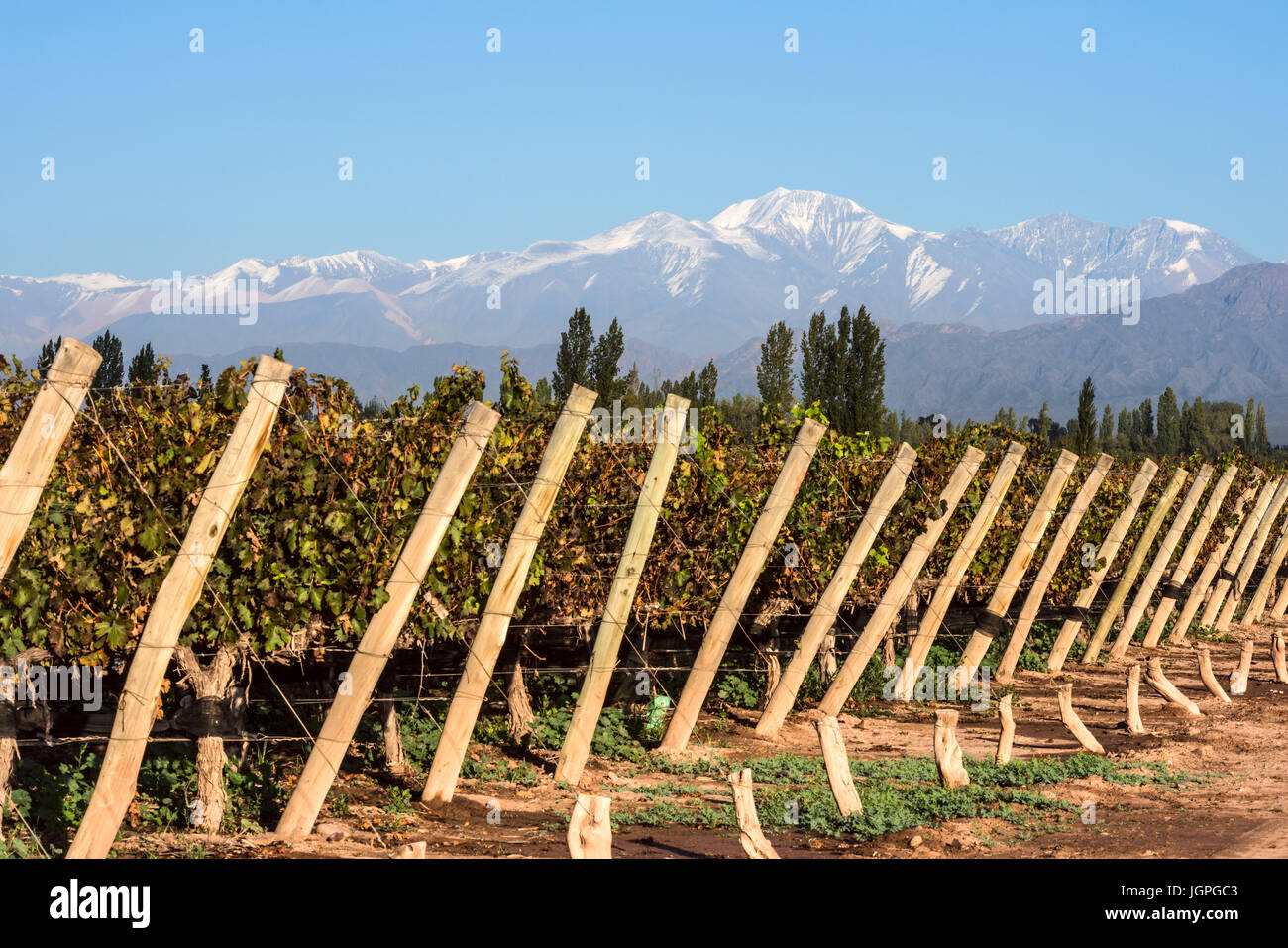 Early morning in the late autumn: Volcano Aconcagua Cordillera and ...