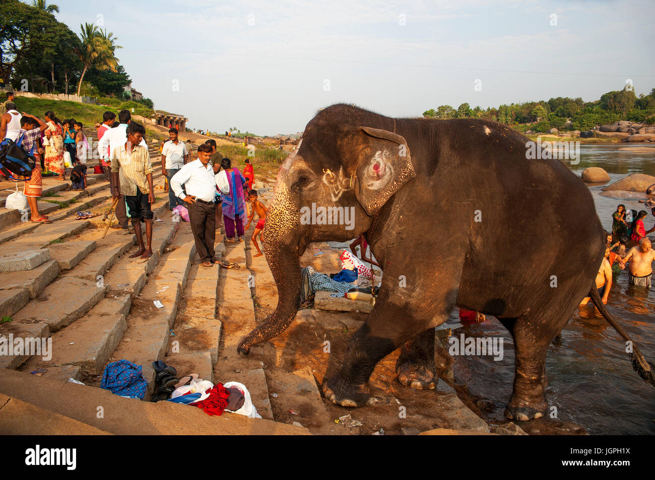 Lakshmi the famous Hampi elephant bathing people on the Tungabhadra ...