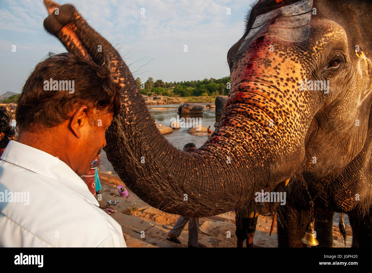 Elephant blessing a man in the banks of Tungabhadra river in Hampi ...