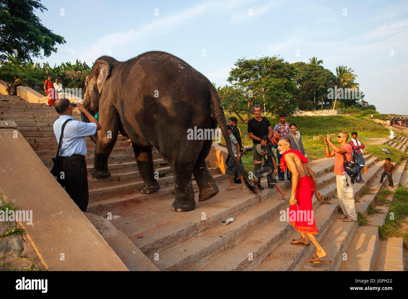 Lakshmi the famous Hampi elephant near Tungabhadra River, Hampi ...