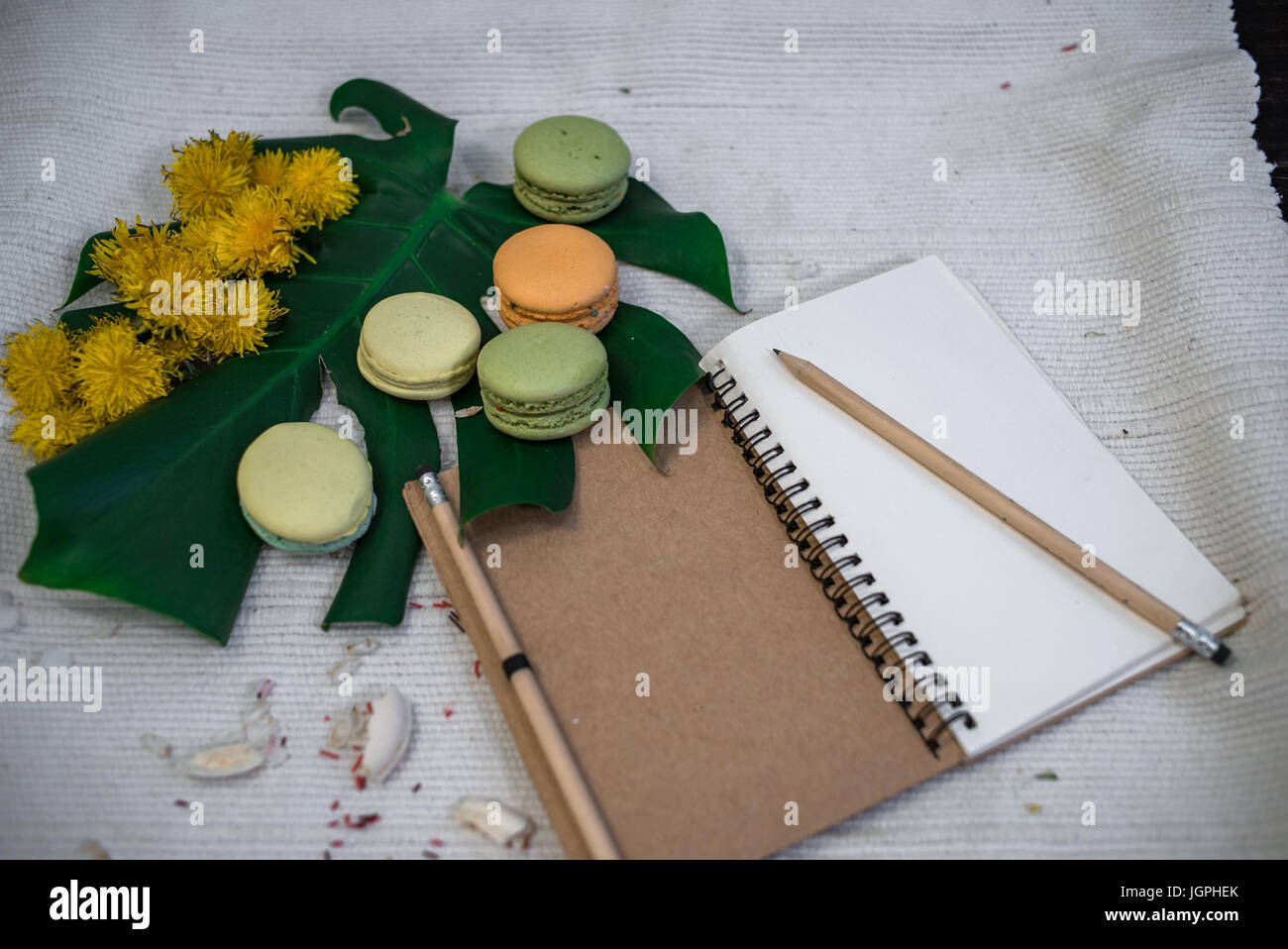 Eco Notebook on a white background with a sheet of monsters and ...