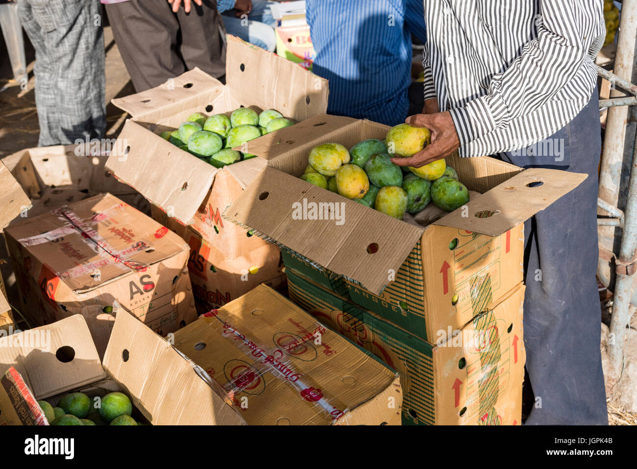 Box of mangoes hi-res stock photography and images - Alamy