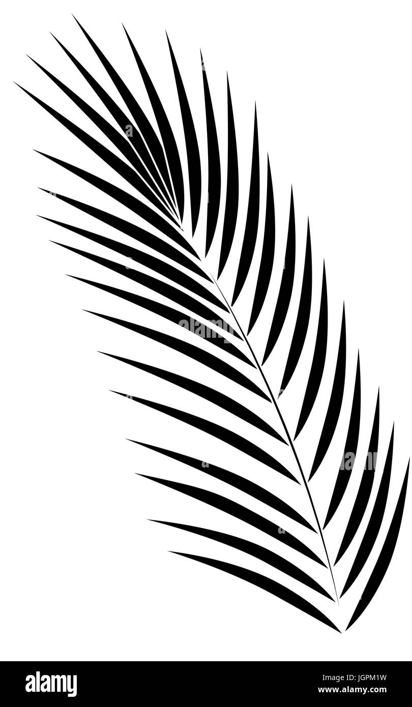 Palm Tree Leaf Clip Art