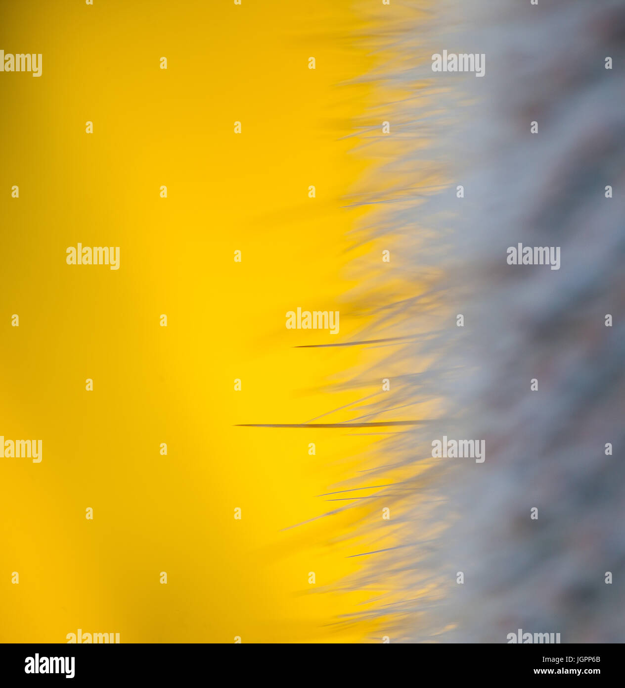 Photographs that look like paintings hi-res stock photography and ...