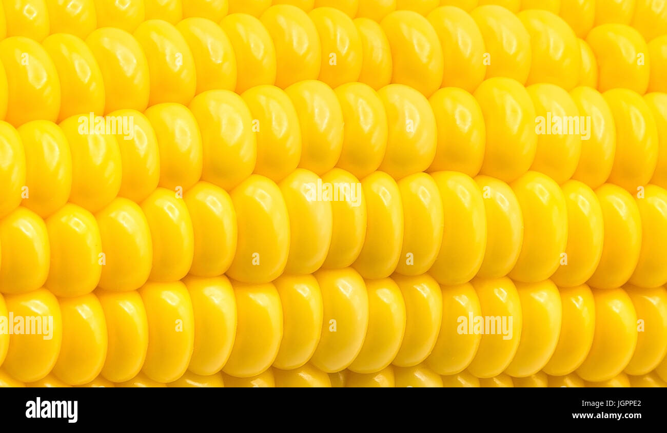 Golden sweet corn background Stock Photo - Alamy