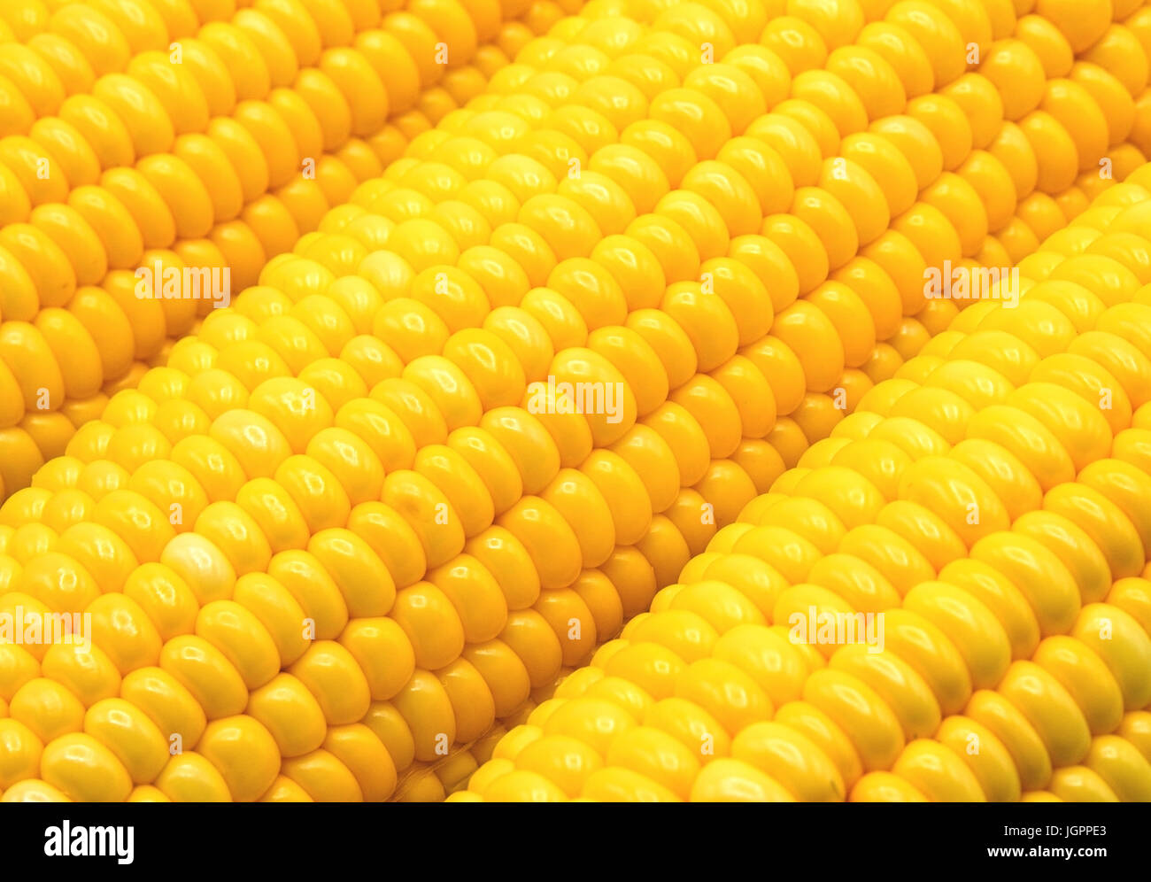 Golden sweet corn background Stock Photo - Alamy
