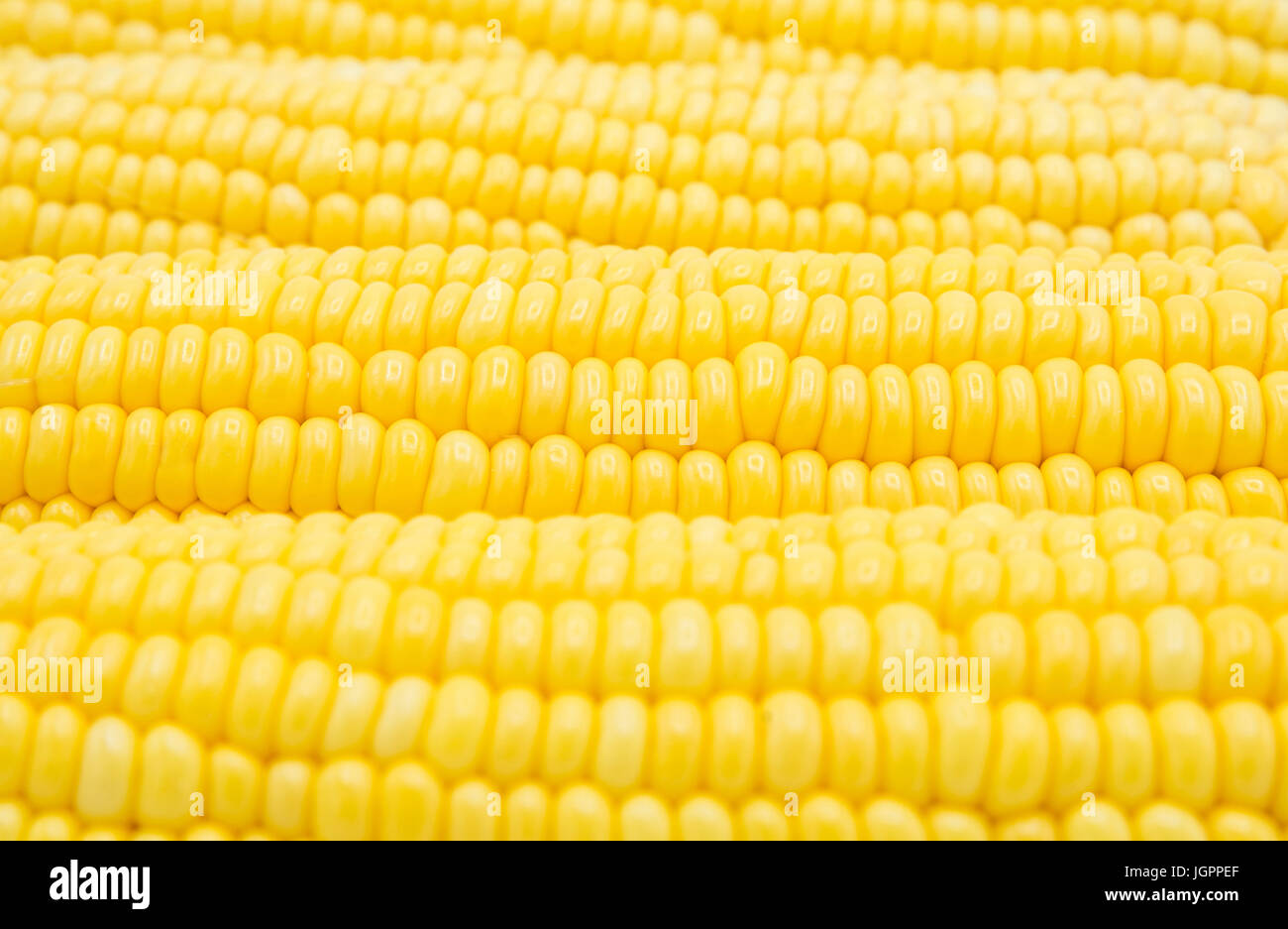 Golden sweet corn background Stock Photo - Alamy
