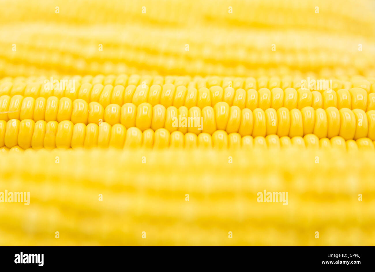 Golden sweet corn background Stock Photo - Alamy