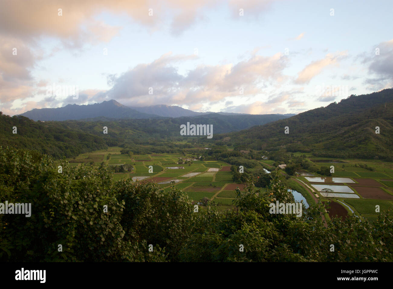 Hanalei Valley Lookout Stock Photo - Alamy