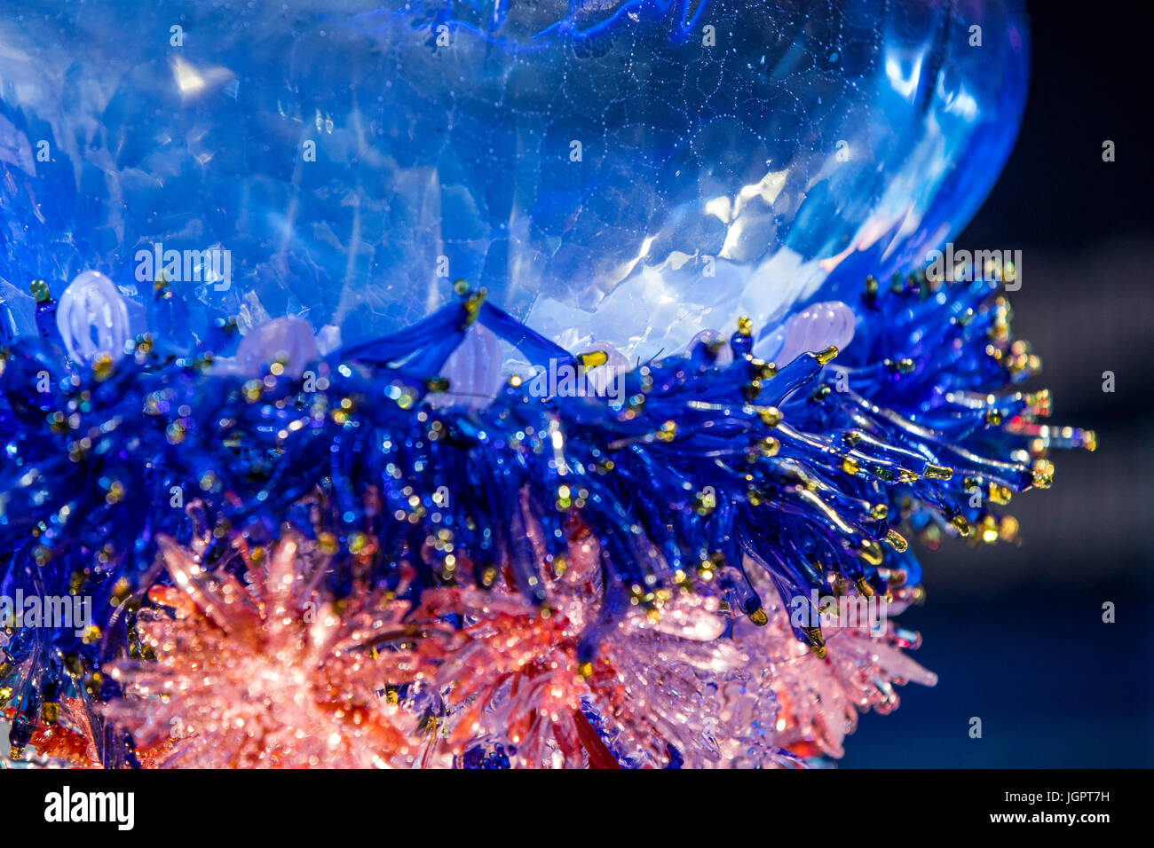 Artist Susan Liebold putting together the coloured glass replica of a ...