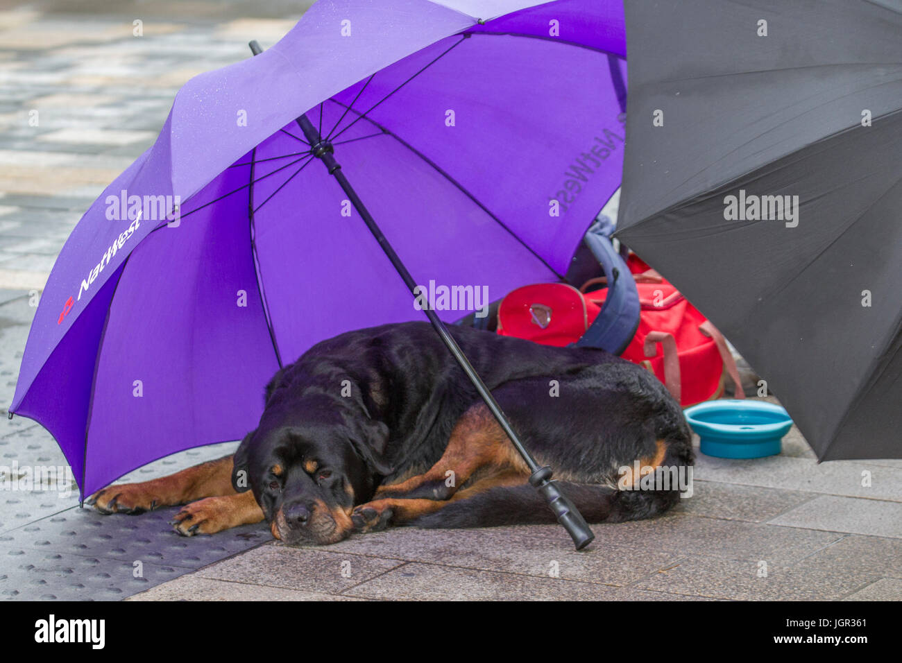 Preston, Lancashire, UK. UK Weather. 10th July, 2017. Showers of rain ...