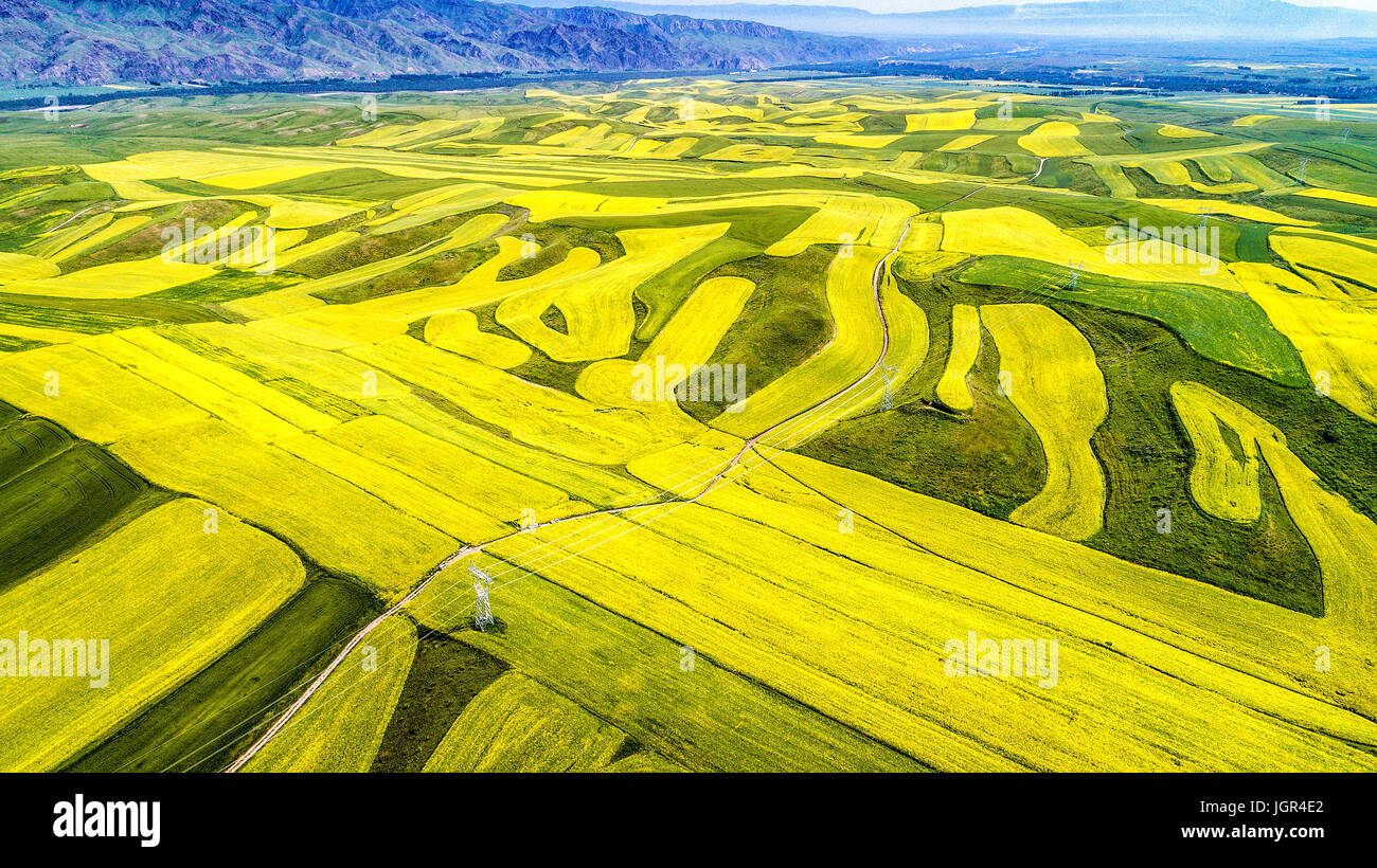 Ili, China's Xinjiang Uygur Autonomous Region. 9th July, 2017. Aerial ...