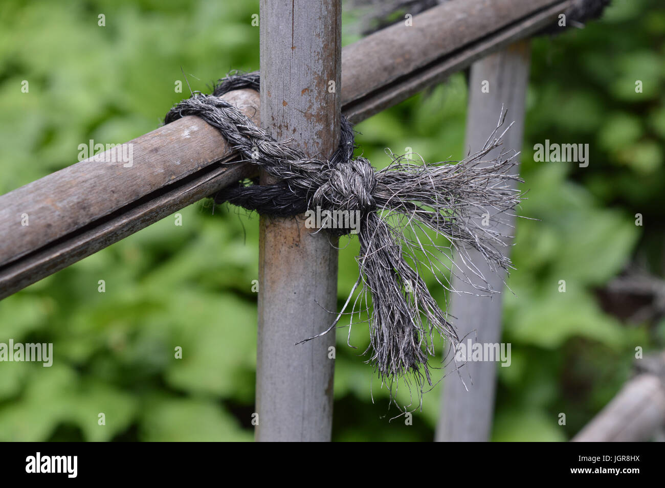 Fence in a Japanese Garden Stock Photo - Alamy