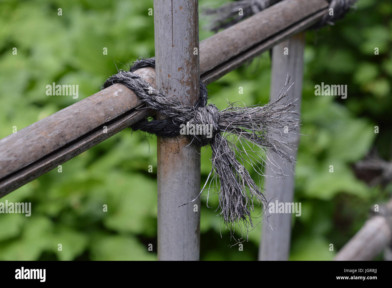 Japanese garden fence hi-res stock photography and images - Alamy