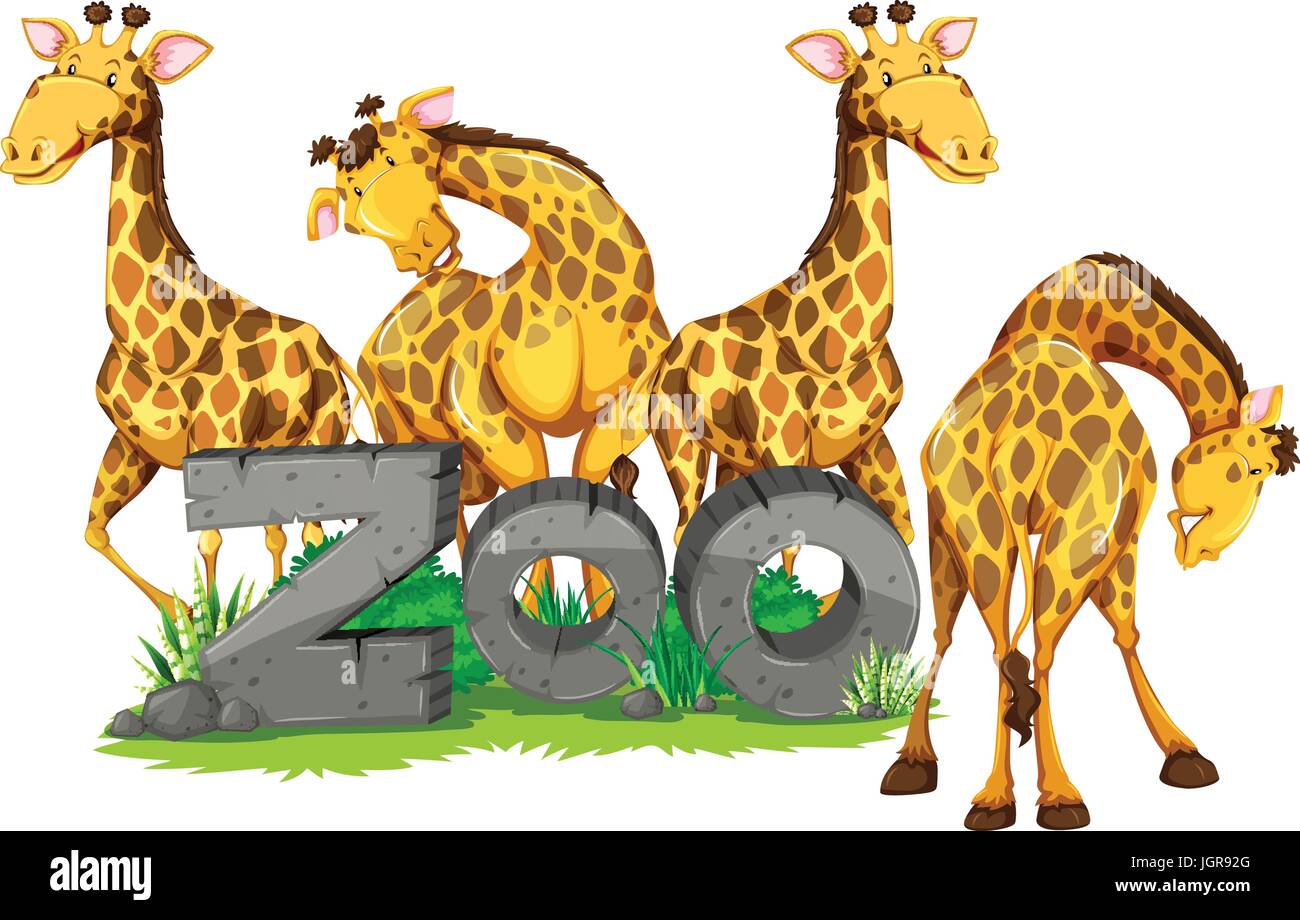 Four giraffes in the zoo illustration Stock Vector Image & Art - Alamy