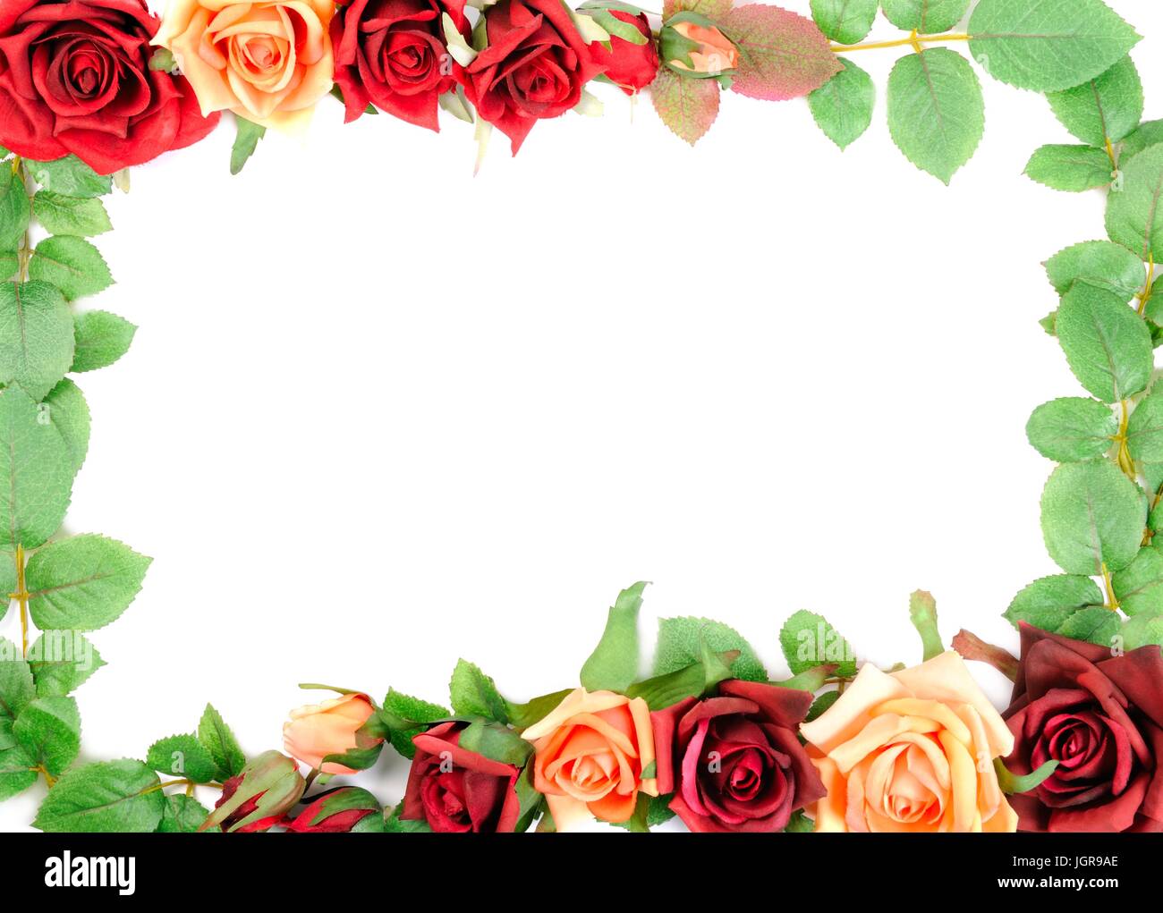 Roses border High Resolution Stock Photography and Images - Alamy
