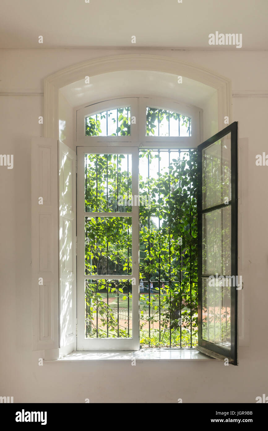 An open window with plants looking into a garden Stock Photo - Alamy