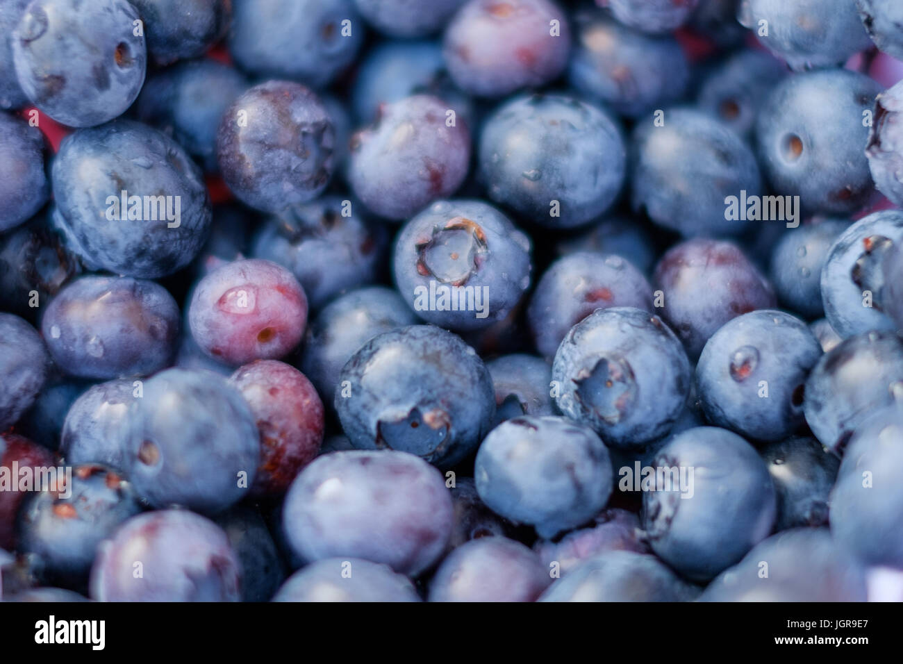 Fresh juicy blueberry fruits hi-res stock photography and images - Alamy
