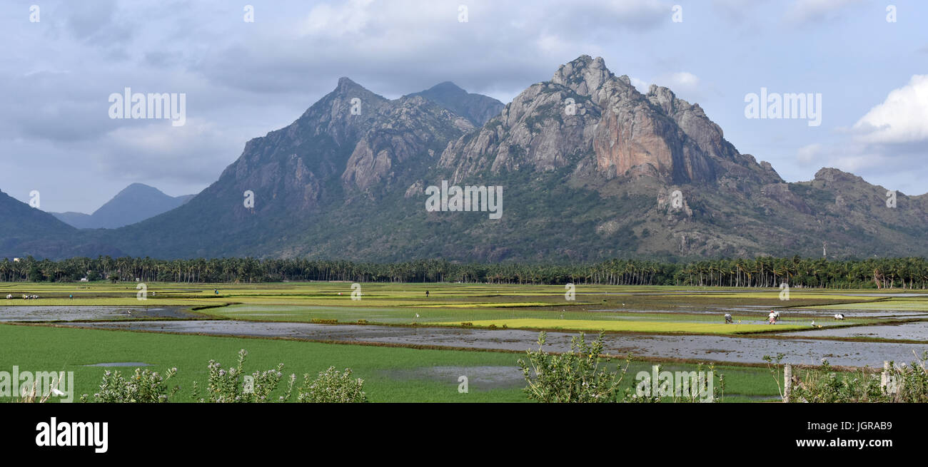 South Indian Landscape Stock Photo - Alamy