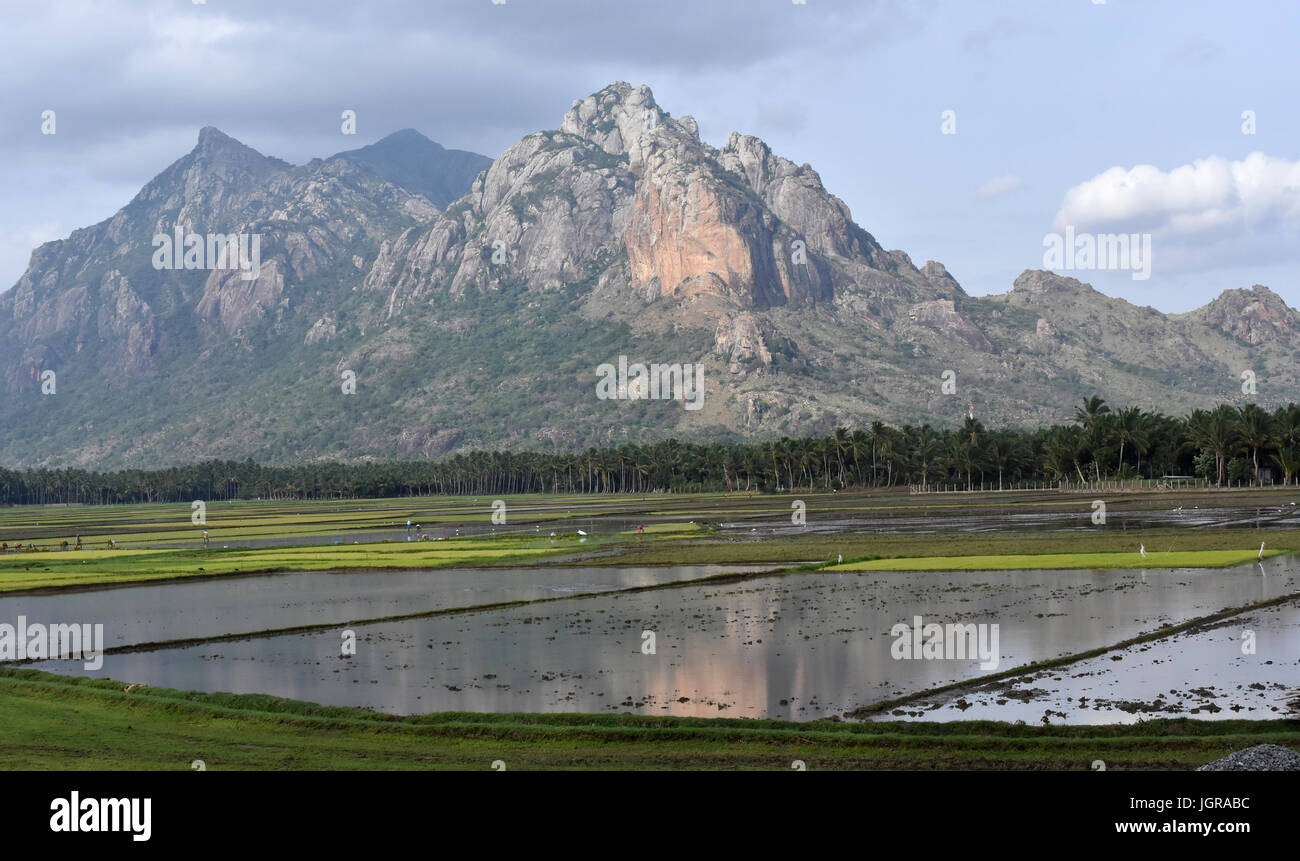 South indian landscape hi-res stock photography and images - Alamy
