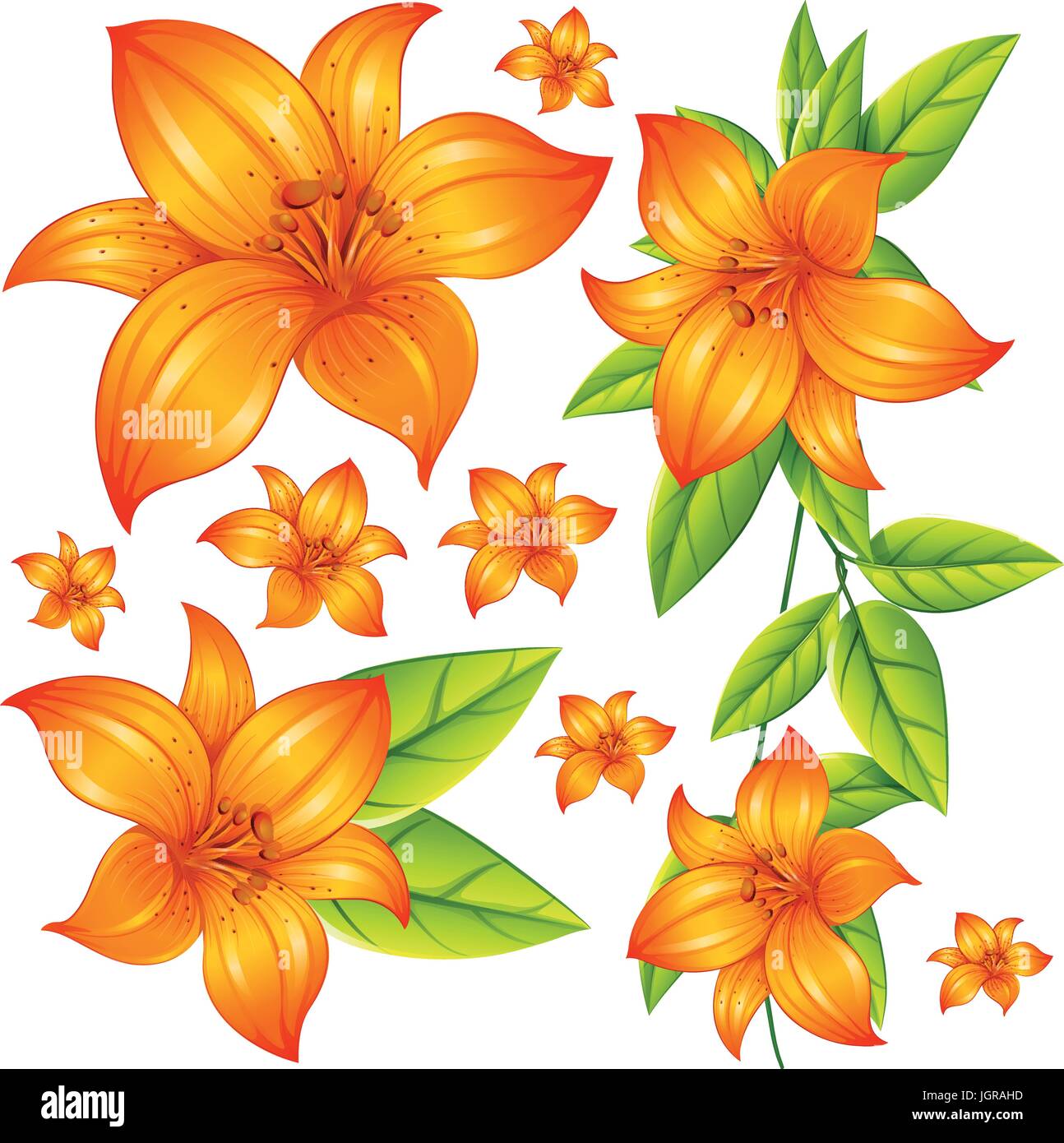 Leaves wild vine in Stock Vector Images - Alamy