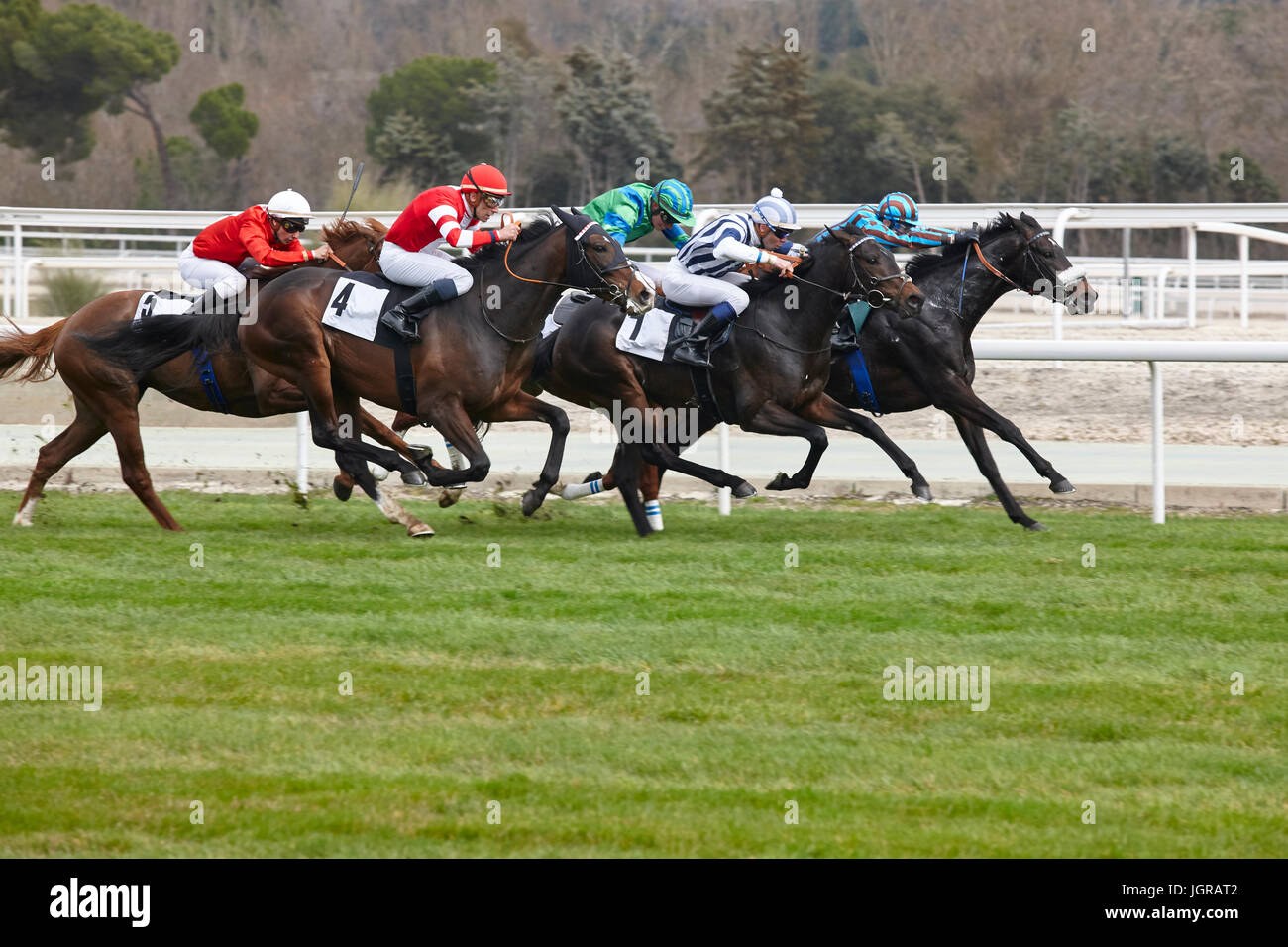 Horse race final rush. Competition sport. Hippodrome. Winner. Speed ...