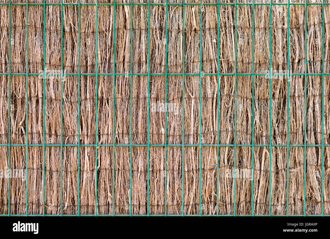 Texture of cane fence Stock Photo - Alamy