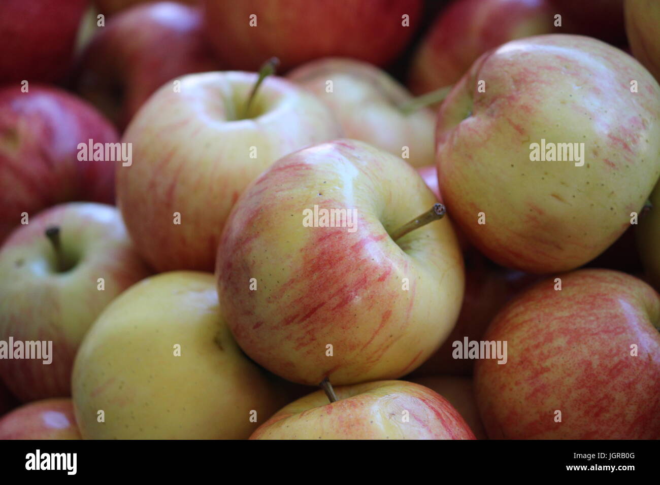 Apples on display at market Stock Photo - Alamy