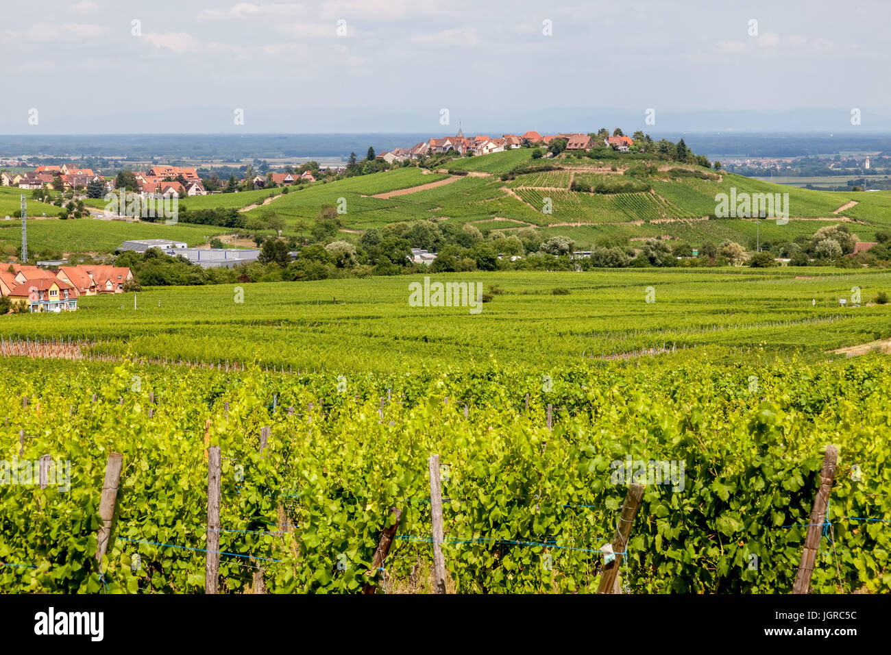 Landscape around Zellenberg, Alsace, France Stock Photo - Alamy