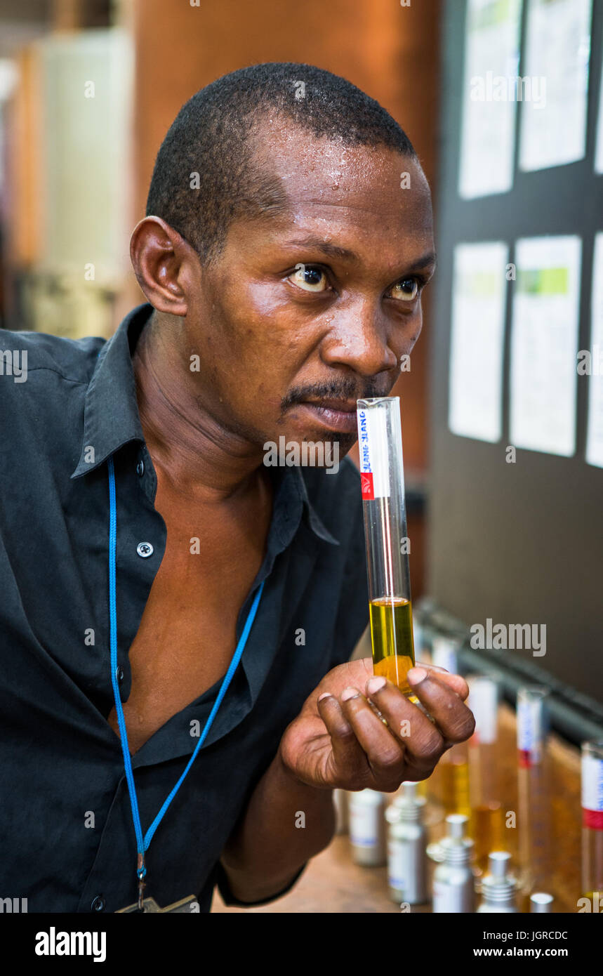 MADAGASCAR, NOSY BE - DECEMBER 6, 2014: Chief Technologist perfume ...