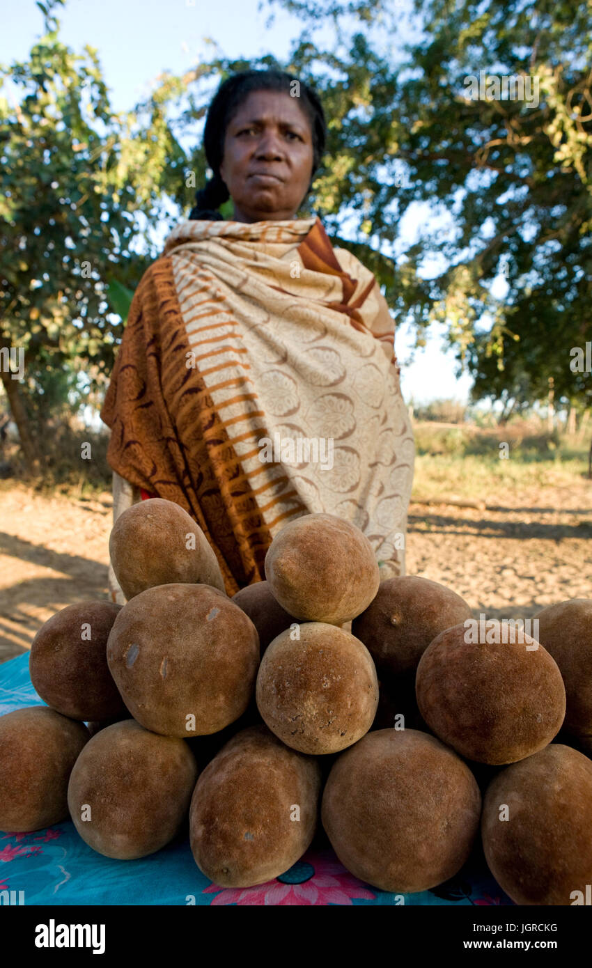 MADAGASCAR, MORONDAVA - AUGUST 10, 2011: A woman sells fruit of the ...