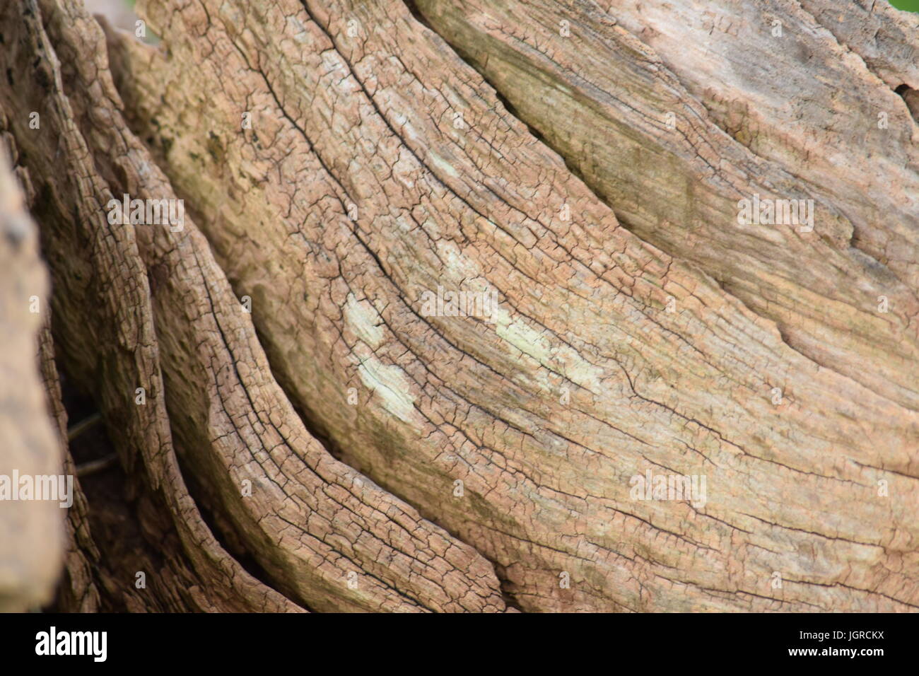Wood natural patterns Stock Photo - Alamy