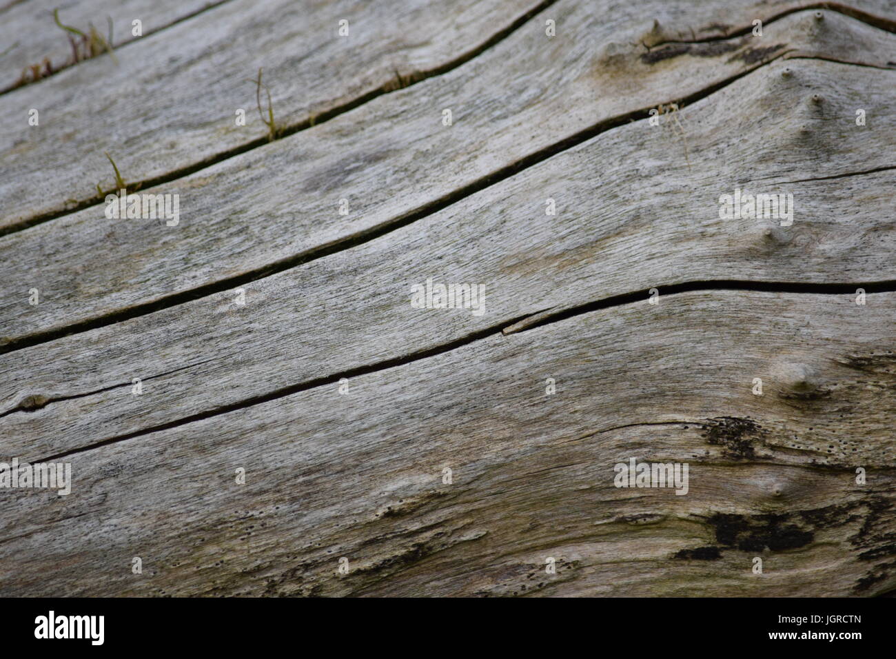 Wood with cracks Stock Photo - Alamy