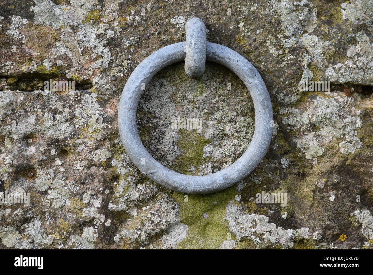 Horse Tether Ring High Resolution Stock Photography and Images - Alamy