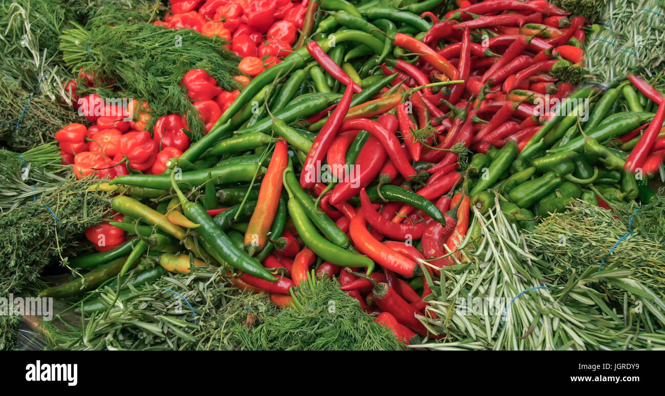 A display of different variety of organic chilly peppers and herbs at a ...
