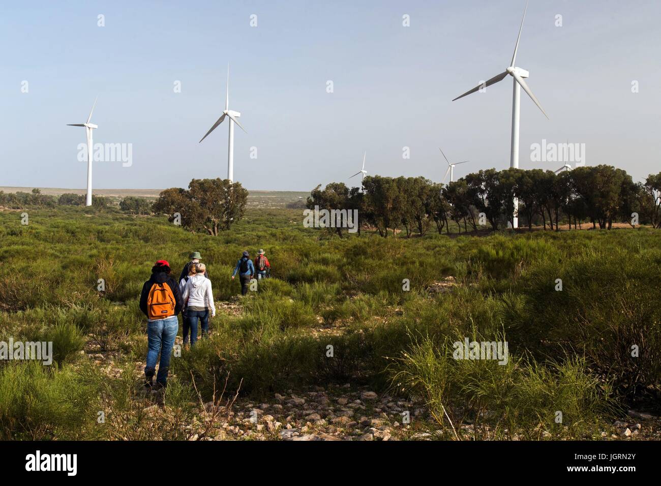 Morocco wind turbine hi-res stock photography and images - Alamy