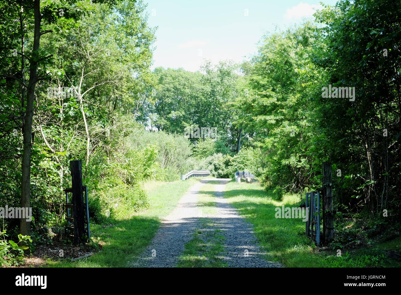 Country lane and bridge Stock Photo - Alamy