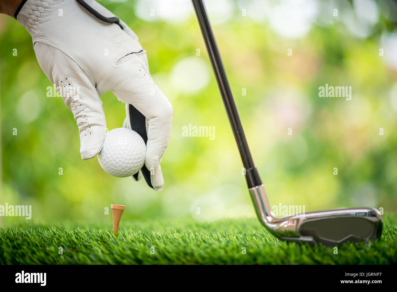 golf players hand placing ball on tee Stock Photo - Alamy