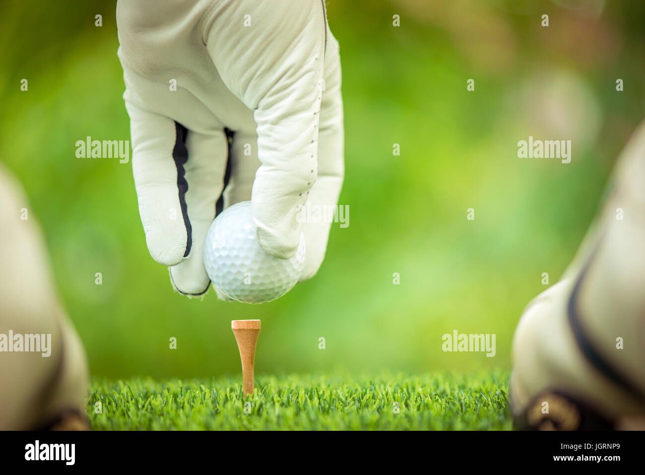 golf players hand placing ball on tee Stock Photo - Alamy