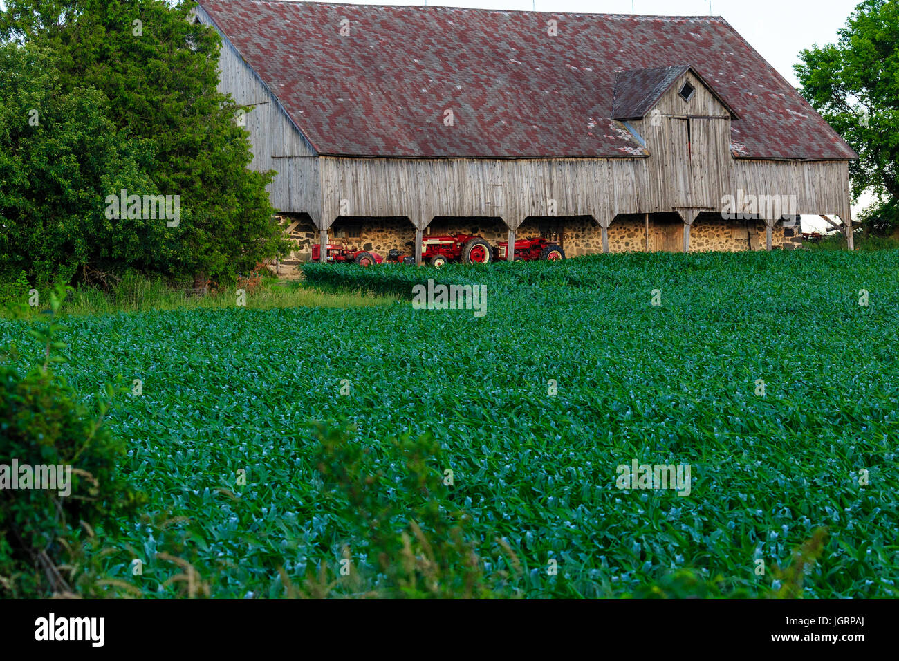 Wisconsin corn, barn and tractors in the summer Stock Photo - Alamy