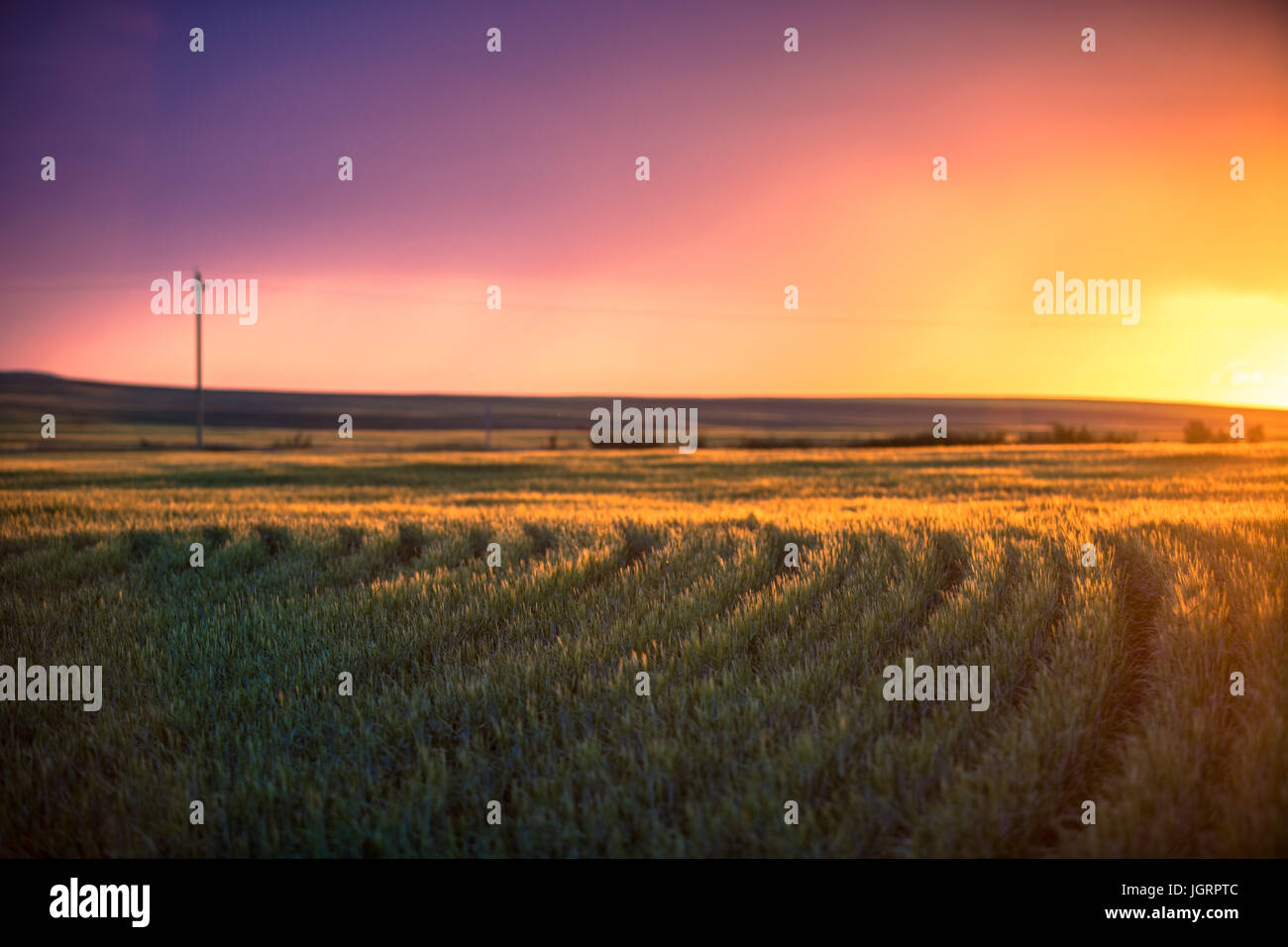 An old barn stands alone in the middle of the Alberta prairies from a ...