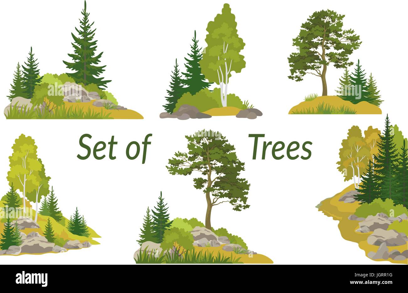 Yellow green pine tree Stock Vector Images - Alamy