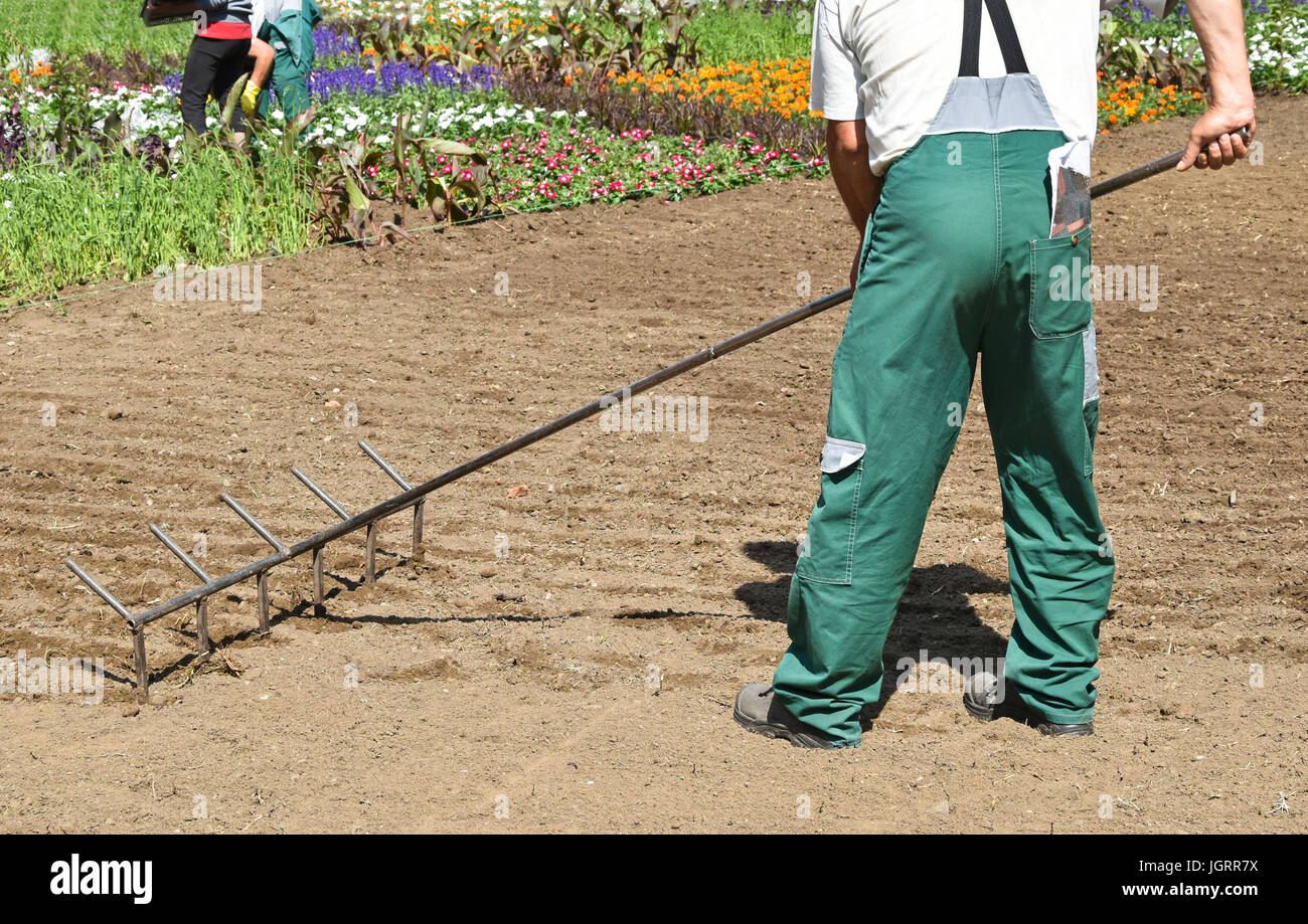 Large rake hi-res stock photography and images - Alamy
