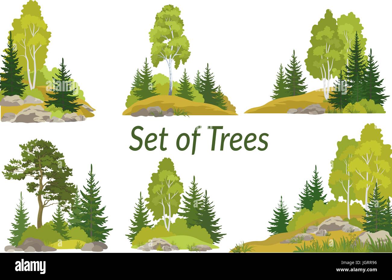 Yellow green pine tree Stock Vector Images - Alamy