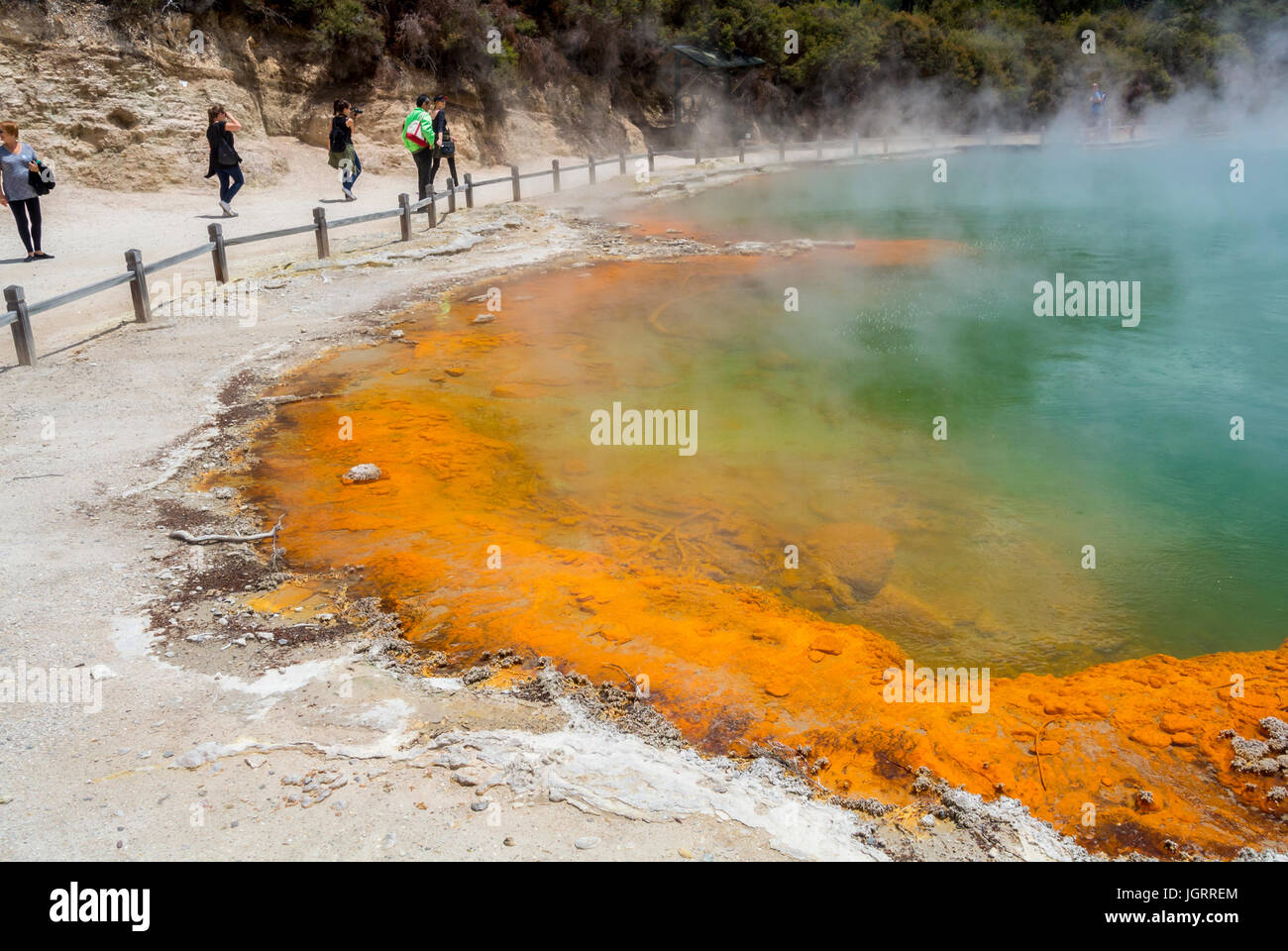 Waiotapu Thermal Wonderland,Rotorua, New Zealand Stock Photo - Alamy