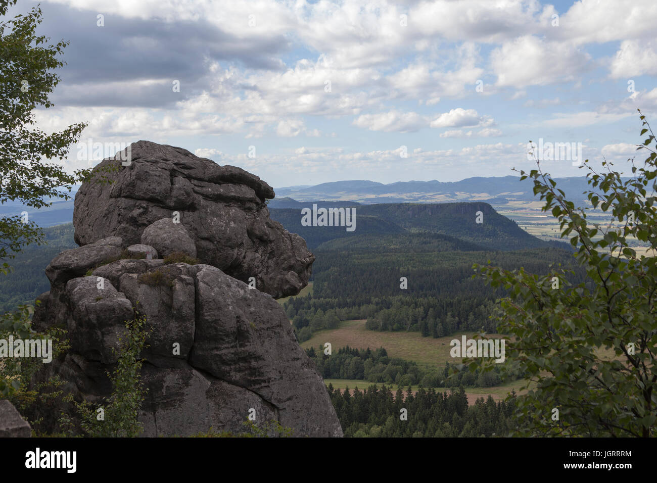 Monkey table hi-res stock photography and images - Alamy