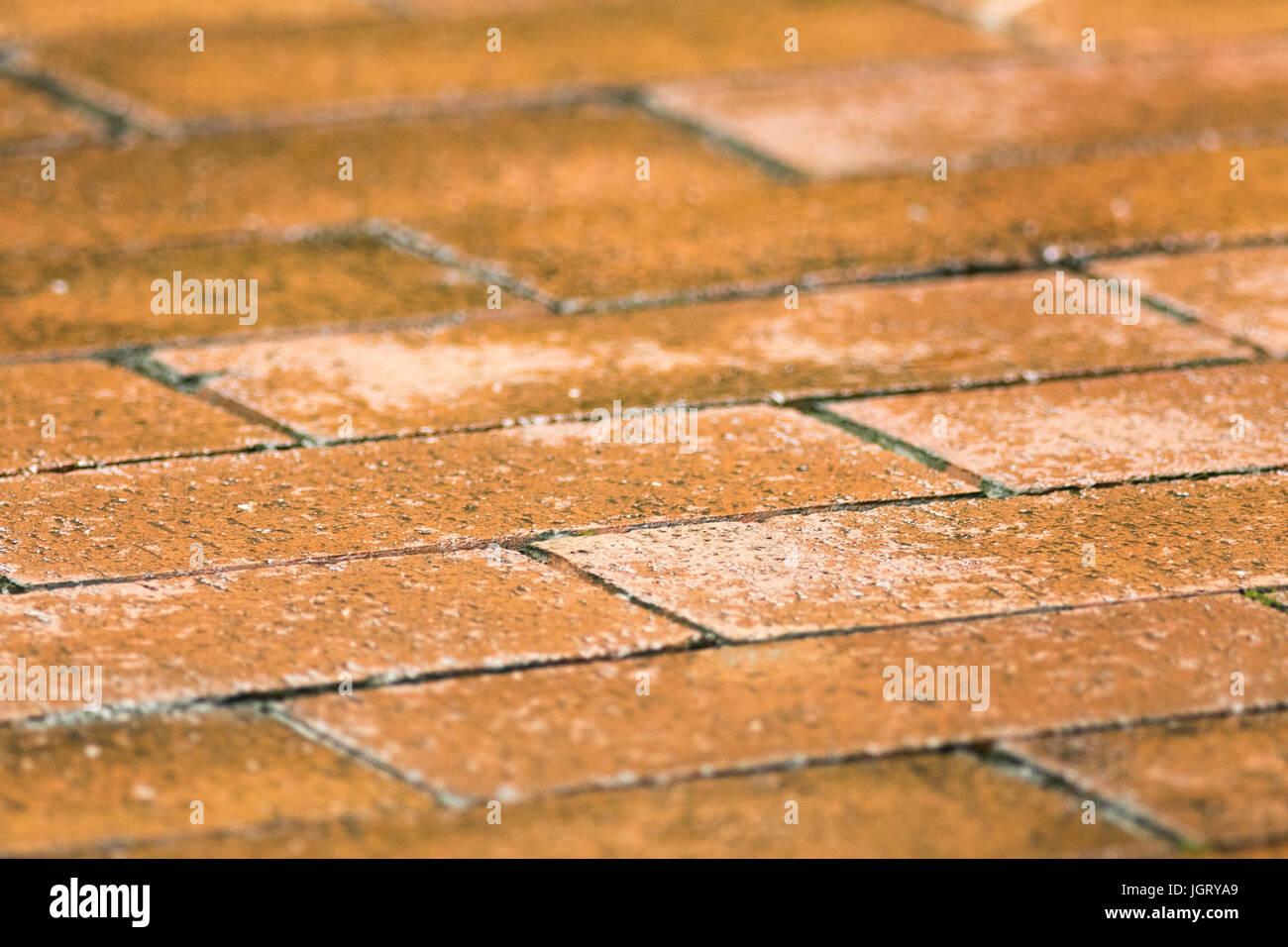 A Brick Sidewalk Stock Photo - Alamy