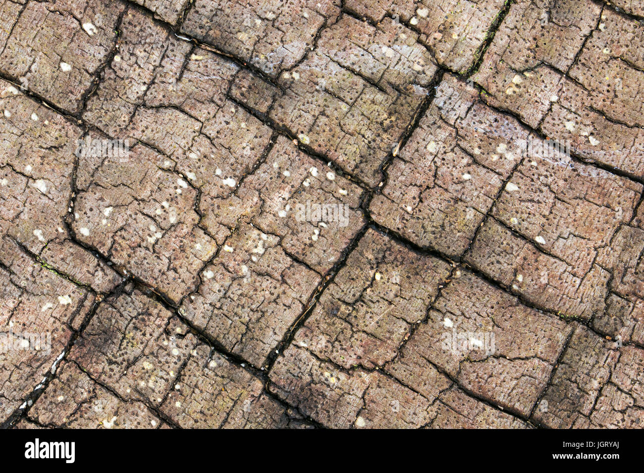 Wood grain pattern hi-res stock photography and images - Alamy