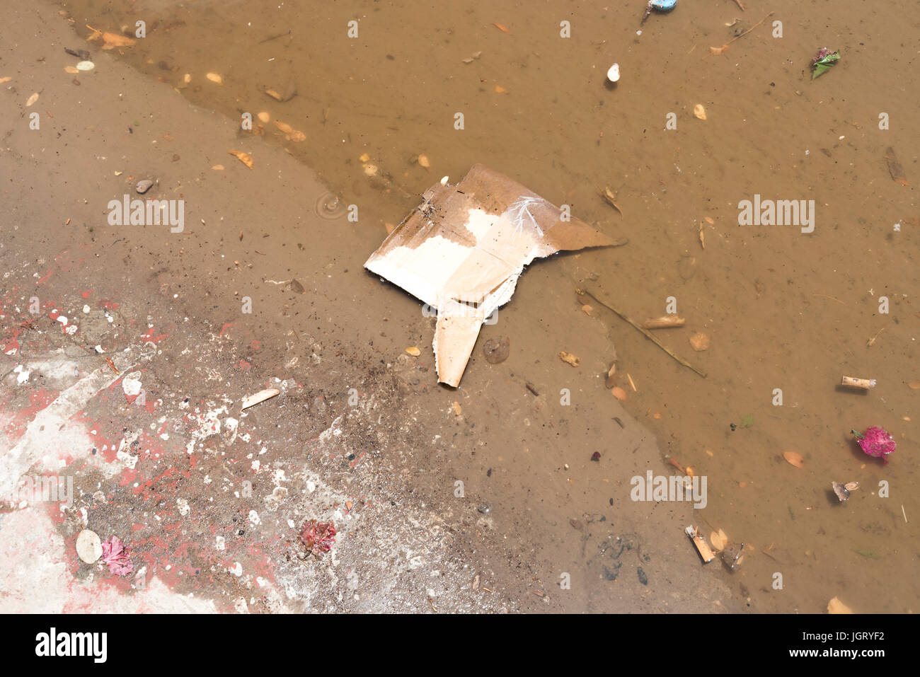 Stagnant water bacteria High Resolution Stock Photography and Images ...