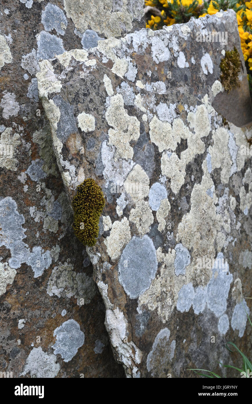 Caithness stone hi-res stock photography and images - Alamy